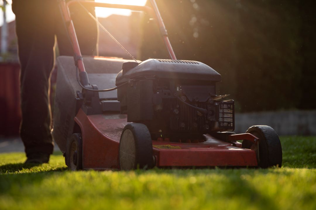 Discover the Best Commercial Lawn Mower: Your Guide to Zero-Emission ...